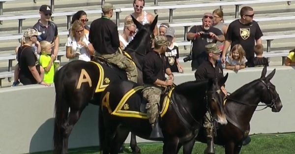 Saturday's Army game was delayed for a hilarious on-field mishap - FanBuzz