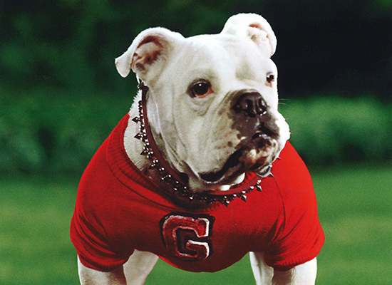 Georgia's 10 Greatest 'Uga' Mascots of All Time are Damn Good Dogs ...