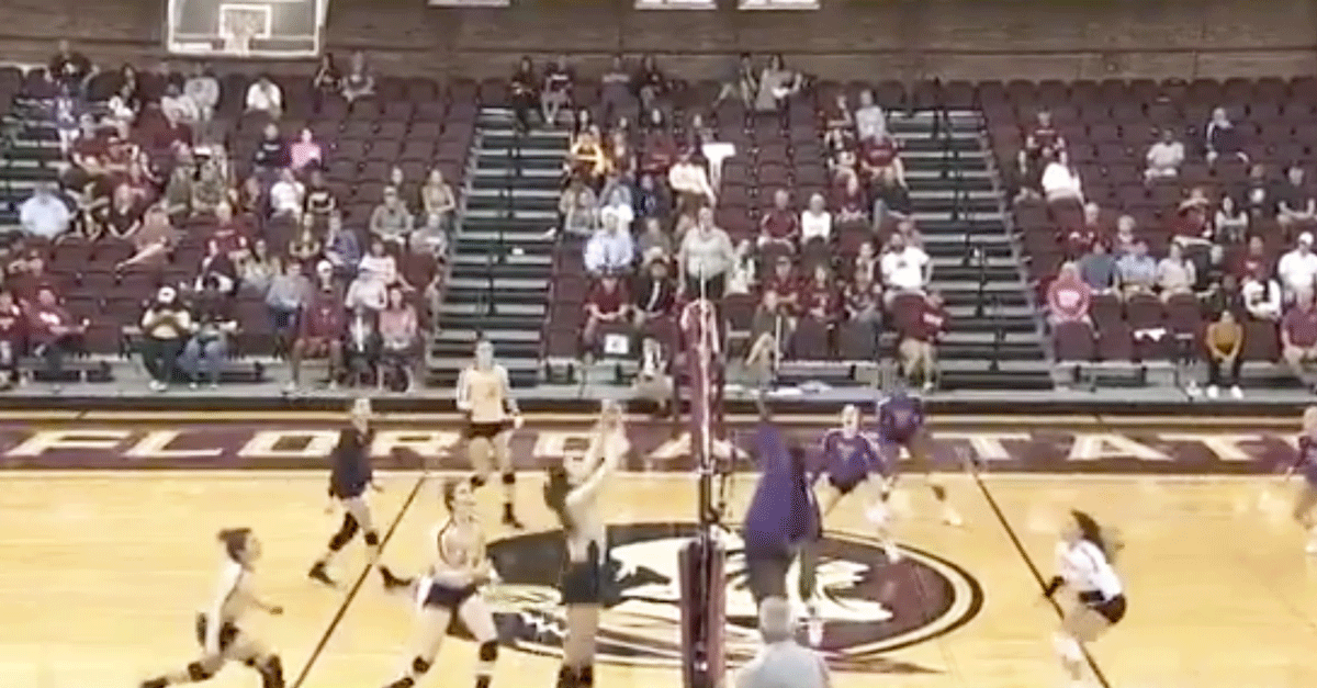 FSU Volleyball Bests Clemson, Georgia Tech to Continue Winning Streak ...