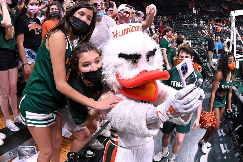 Miami Hurricanes Mascot: The History Behind Sebastian the Ibis