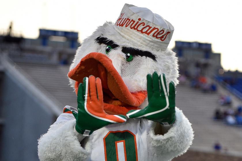 Miami Hurricanes Mascot: The History Behind Sebastian the Ibis