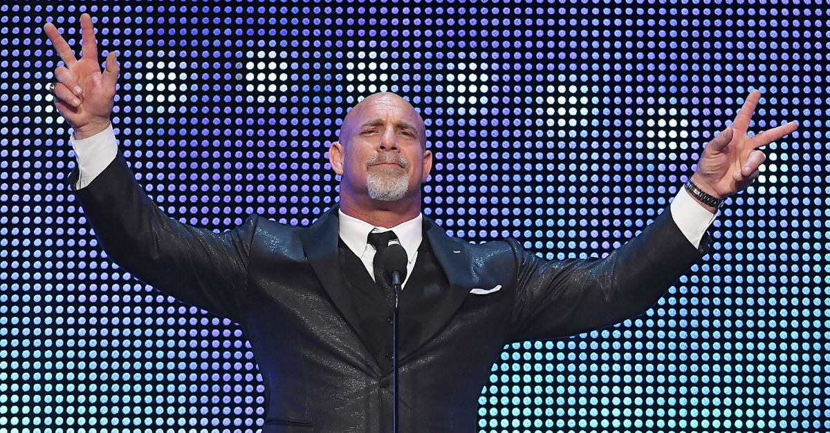 Bill Goldberg's Net Worth: From Pro Wrestling to Hollywood Stardom ...
