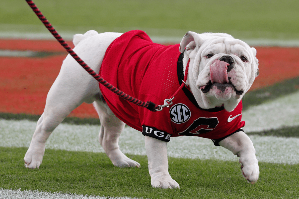 PETA vs. Georgia Bulldogs: Animal Org Fights Champs on Mascot