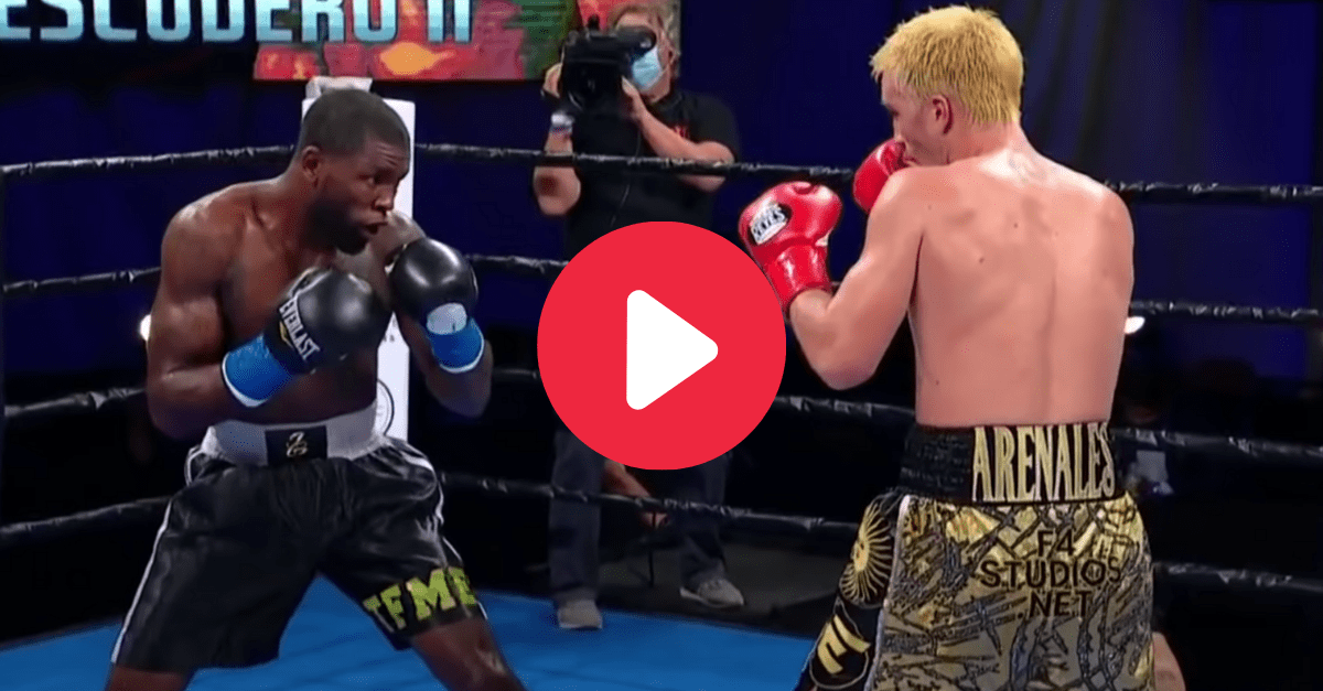 Surprise Uppercut Knocks Opponent’s Lights Completely Out - FanBuzz
