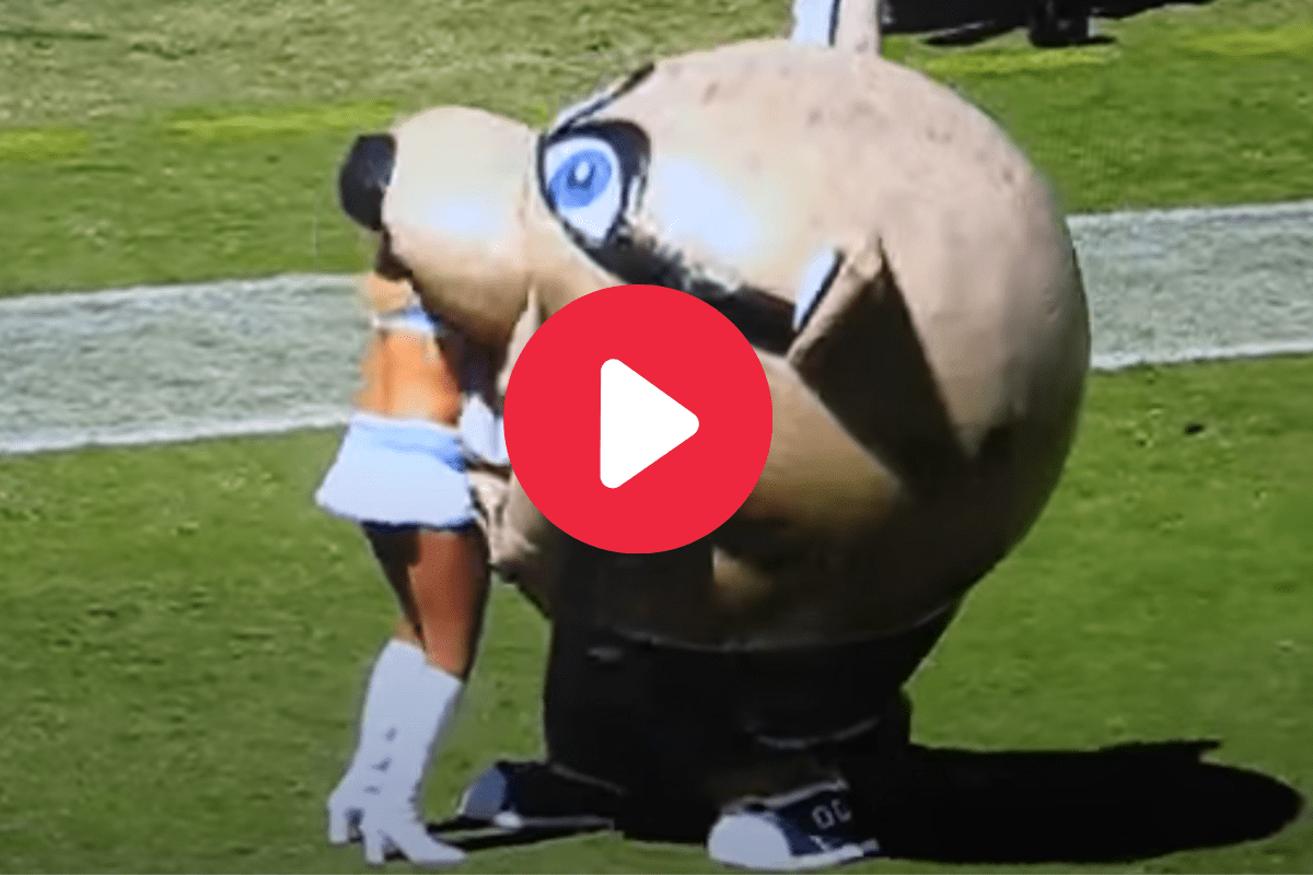 Mascot Eats NFL Cheerleader After She Throws Pom-Pom Punch - FanBuzz