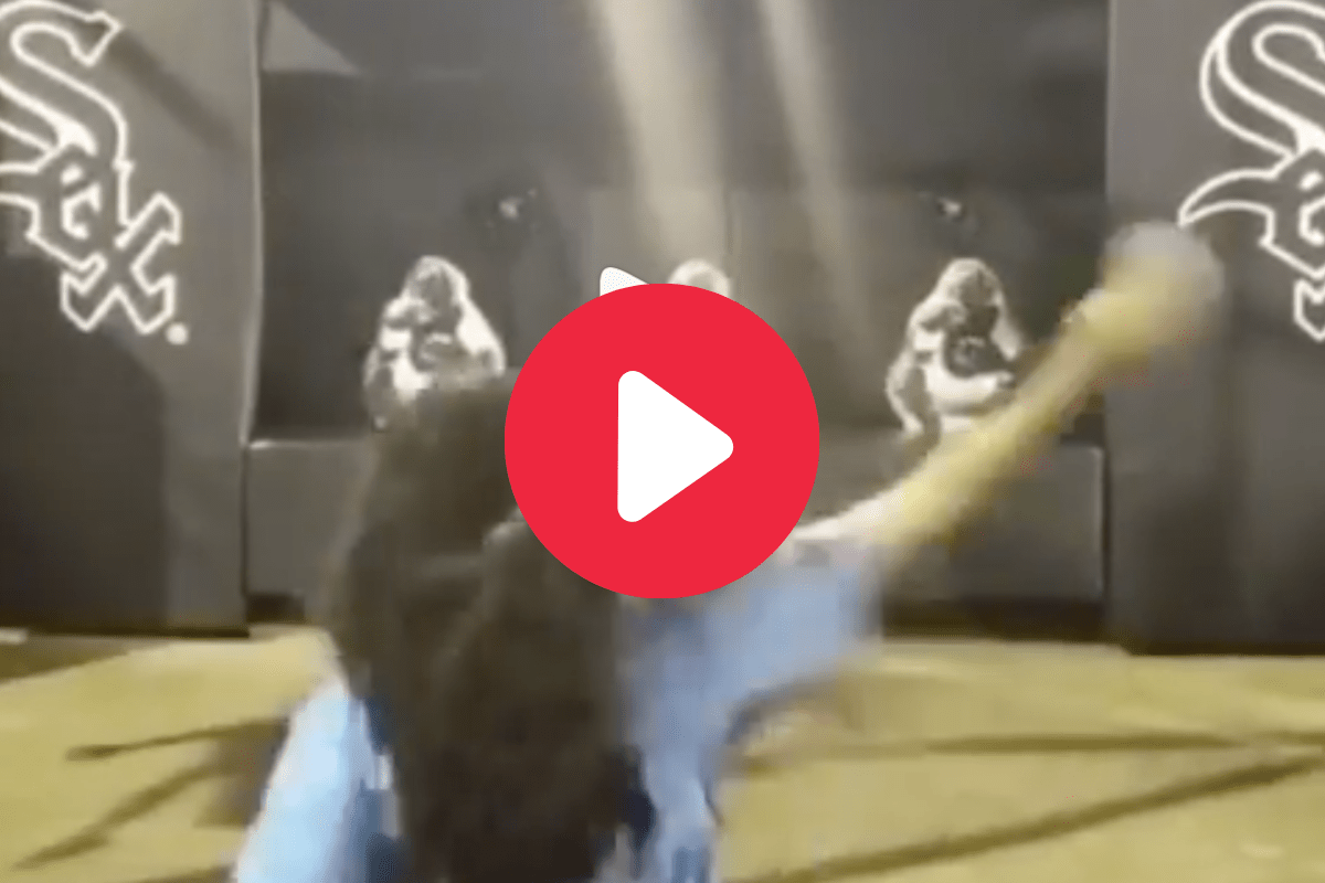 Female Pitcher's Viral "100 MPH" Throw Earned Her MLB Praise - FanBuzz