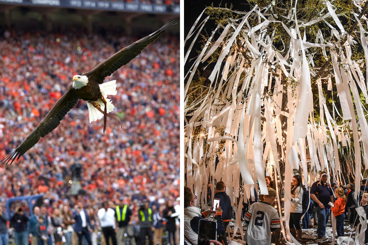 5 Auburn Traditions That Every Tigers Fan Should Know - FanBuzz