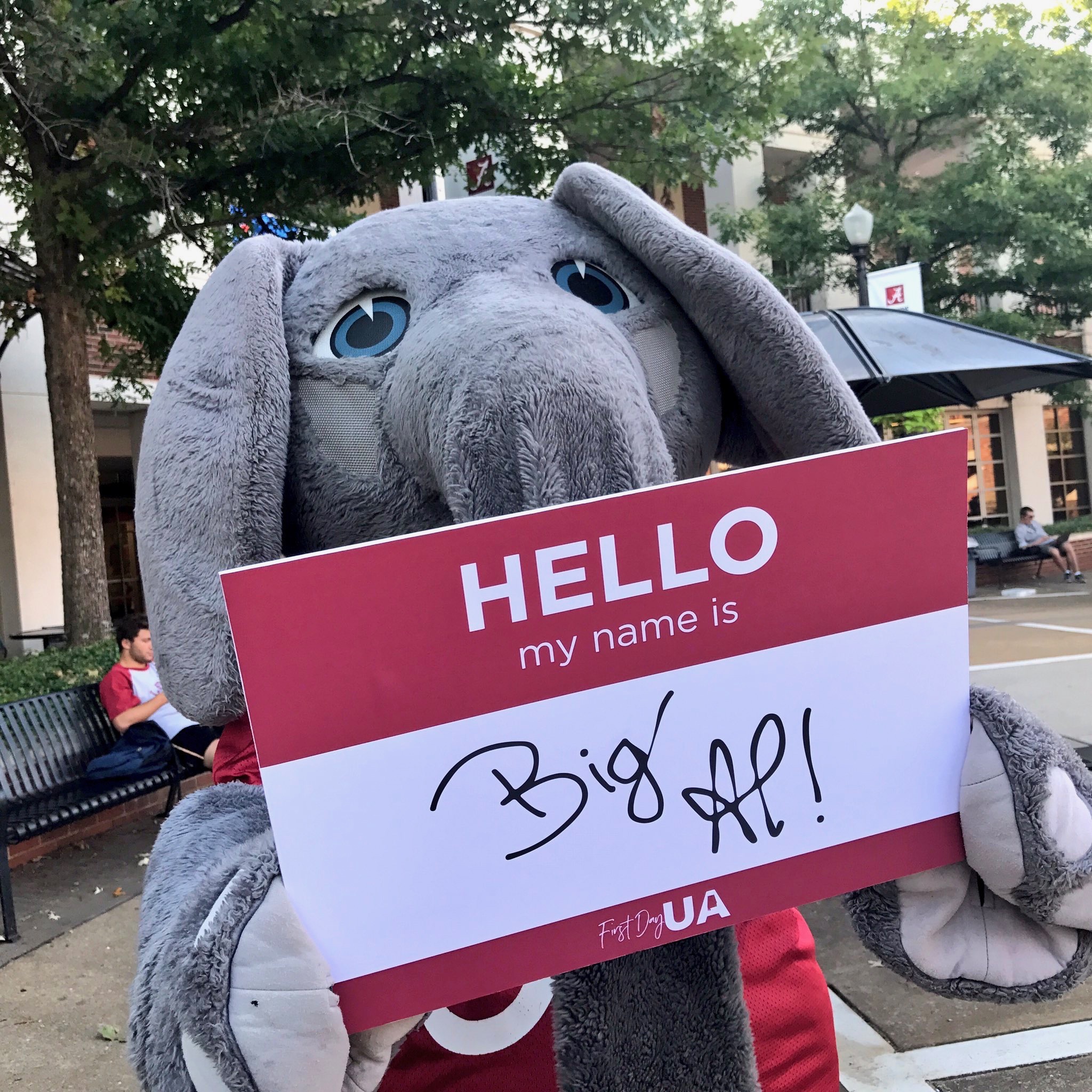 We Spoke With Big Al. Here's What Life is Like as Alabama's Mascot ...