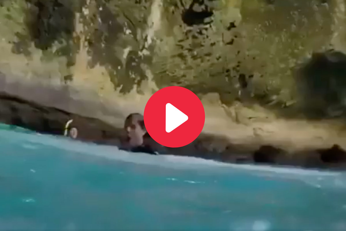 Jeff Gordon Impressed Fans With This 23-Foot Cliff Jump [VIDEO]