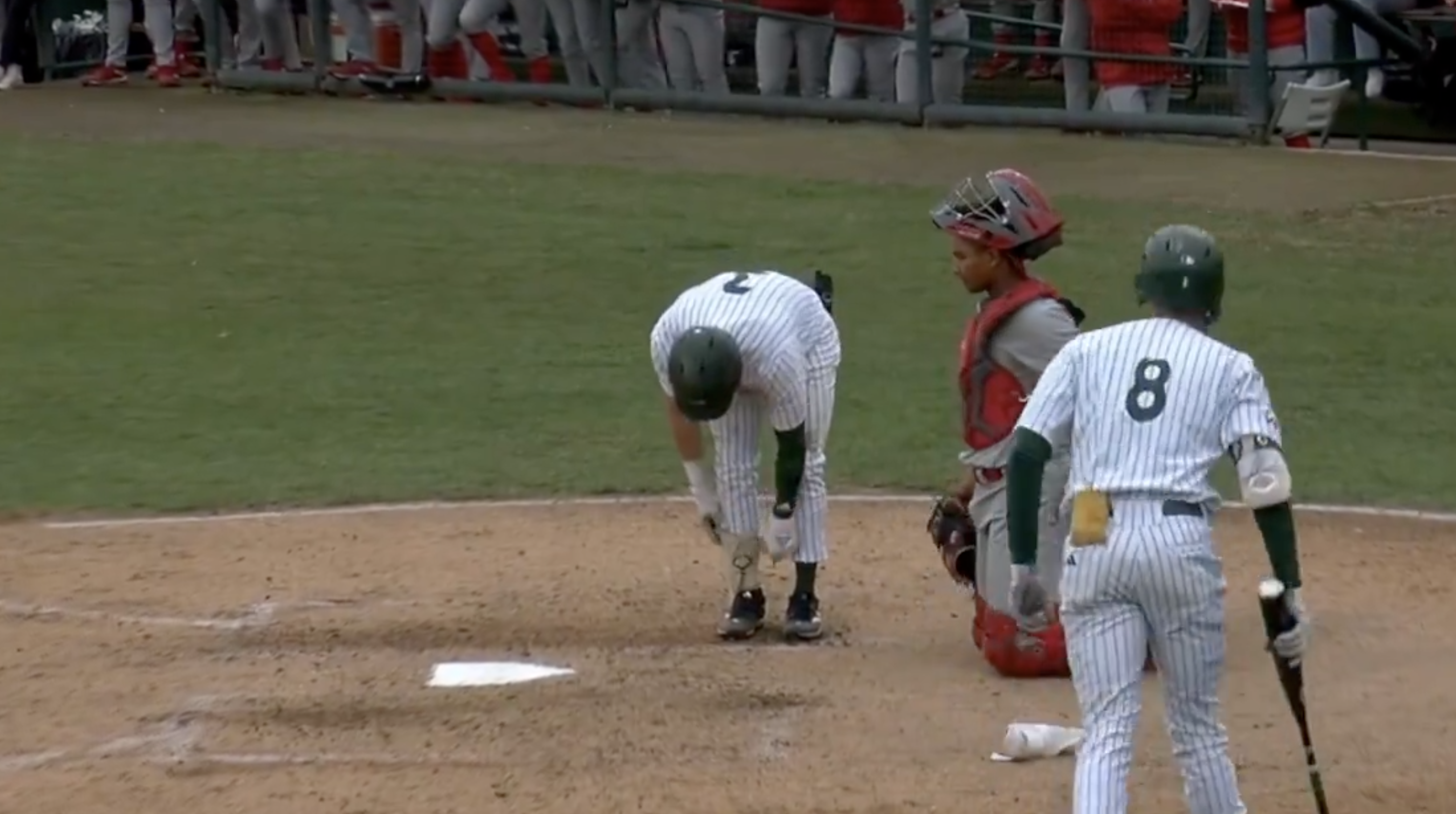 College Baseball Player Gets Hit by Seven Pitches in One Day